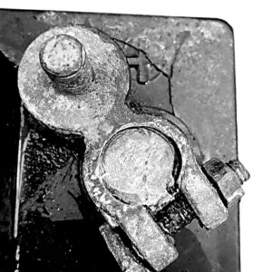 Positive Plate Growth - Doyle Shamrock Industries